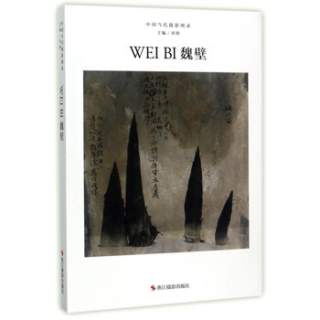 魏壁(精)/中国当代摄影图录