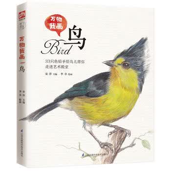 鸟-万物我画
