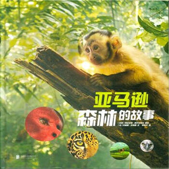 亚马逊森林的故事