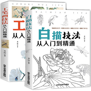 白描技法从入门到精通+工笔画技法从入门到精通 零基础学水墨中国画教程写意花卉草虫