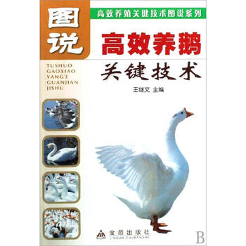 图说高效养鹅关键技术