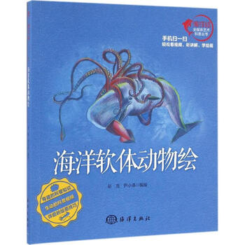 海洋软体动物绘