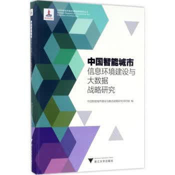 中国智能城市信息环境建设与大数据战略研究