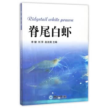 脊尾白虾
