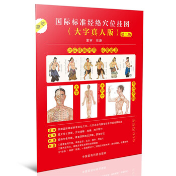 大字真人版全彩标准经络穴位挂图（第二版）
