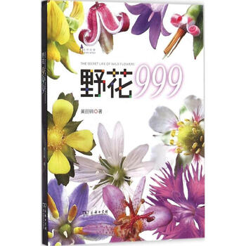 野花999