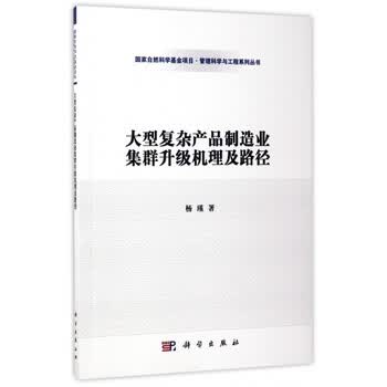 大型复杂产品制造业集群升级机理及路径/管理科学与工程系列丛书
