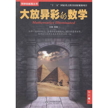 大放异彩的数学 科普读物 书籍