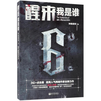 醒来：我是谁 小说 书籍