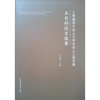 工程建设中的土力学及岩土工程问题——王长科论文选集