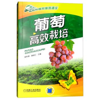 葡萄高效栽培（双色印刷）/高效种植致富直通车