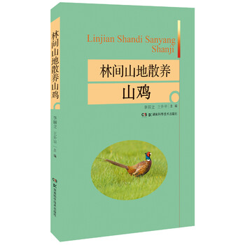 林间山地散养山鸡