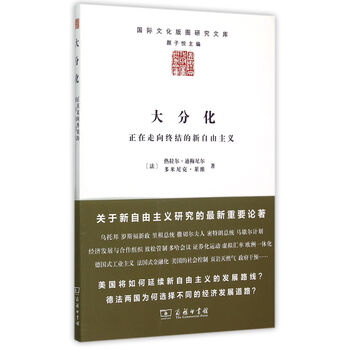 大分化(正在走向终结的新自由主义)/国际文化版图研究文库