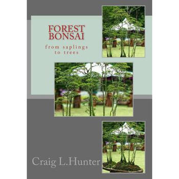 Forest Bonsai: from saplings to trees