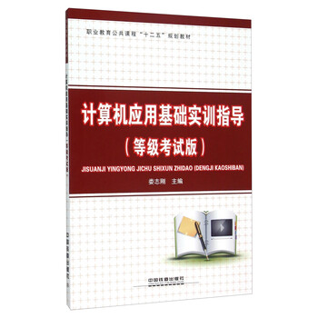 计算机应用基础实训指导（等级考试版）