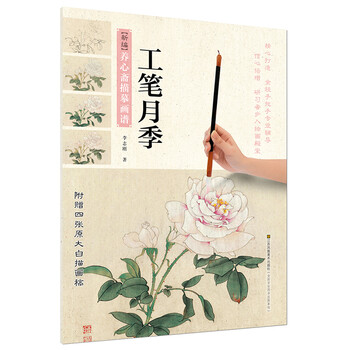新编养心斋描摹画谱 工笔月季