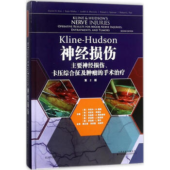 Kline-Hudson神经损伤(第2版)