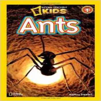 ANTS