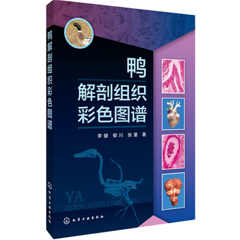 鸭解剖组织彩色图谱（全彩）
