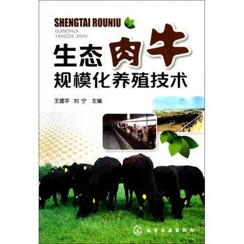 生态肉牛规模化养殖技术