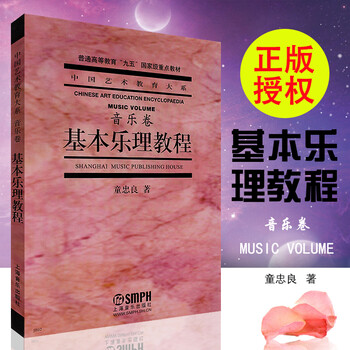 正版基本乐理教程(音乐卷)中国艺术教育大系 童忠良著 基本乐理基础知识 基础乐理知识基础教材书