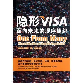 隐形VISA(面向未来的混序组织)
