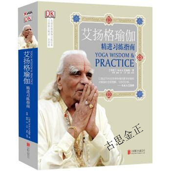 艾扬格瑜伽：精进习练指南（再版）