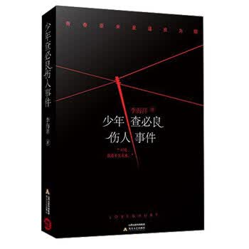 正版 少年查必良伤人事件 9787537846240