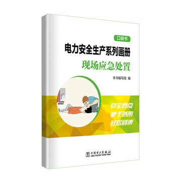 电力安全生产系列画册（口袋书）    现场应急处置