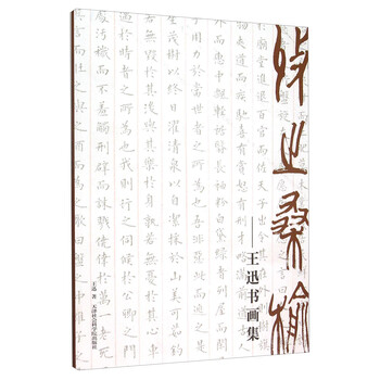 收之桑榆 王迅书画集