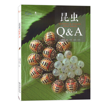 昆虫Q&A