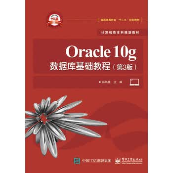 Oracle10g数据库基础教程 第3版 大学教材大中专理科计算机  孙风栋著