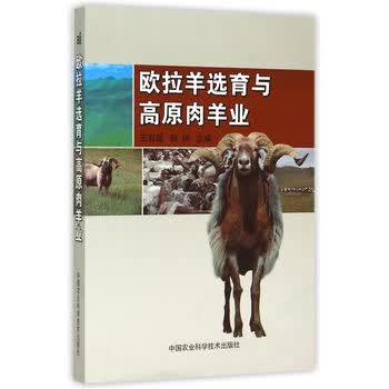 欧拉羊选育与高原肉羊业
