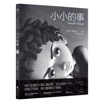 小小的事