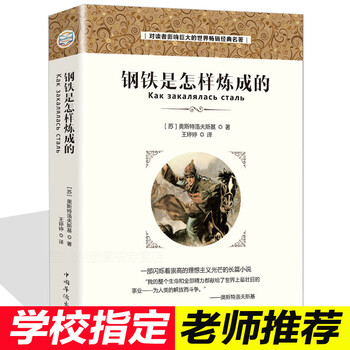 钢铁是怎样炼练成的 中文版 学校指定八年级下册初中小学生原版原著老师推荐世界经典儿童文学名著小说散文集书籍