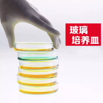 玻璃培养皿 初中高中生物实验器材 教学仪器 细菌皿 100mm