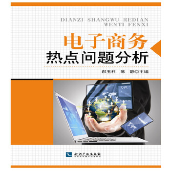 电子商务热点问题分析