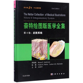 奈特绘图版医学全集(第4卷皮肤系统原书第2版中文翻译版)(精)