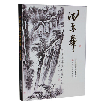 中国当代名家画集：沈素华