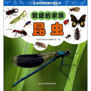 繁盛的家族