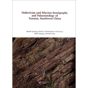 Ordovician and Silurian Stratigraphy and Palaeon