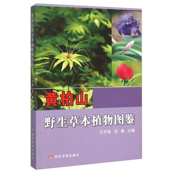 黄柏山野生草本植物图鉴