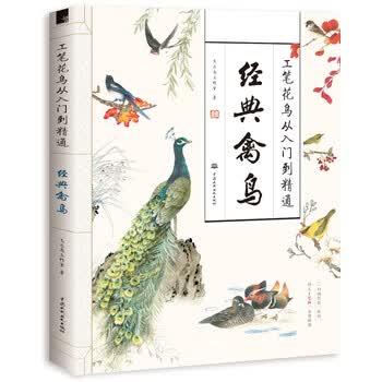 工笔花鸟从入门到精通 经典禽鸟