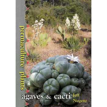 Permaculture Plants: agaves and cacti