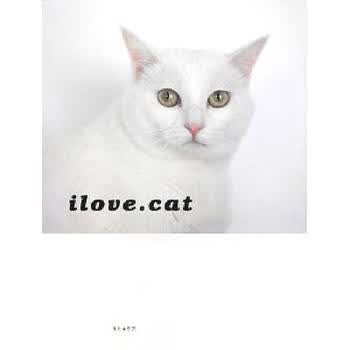 日版 ilove.cat 我爱猫 i love cat 猫写真