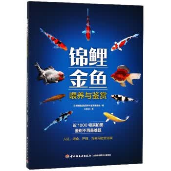 锦鲤金鱼喂养与鉴赏