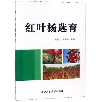 红叶杨选育