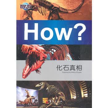 化石真相