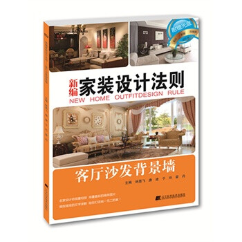 客厅沙发背景墙-*家装设计法则 家居 书籍