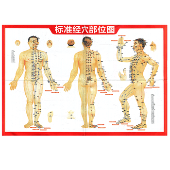 人体标准经络穴位图（赠品勿拍）